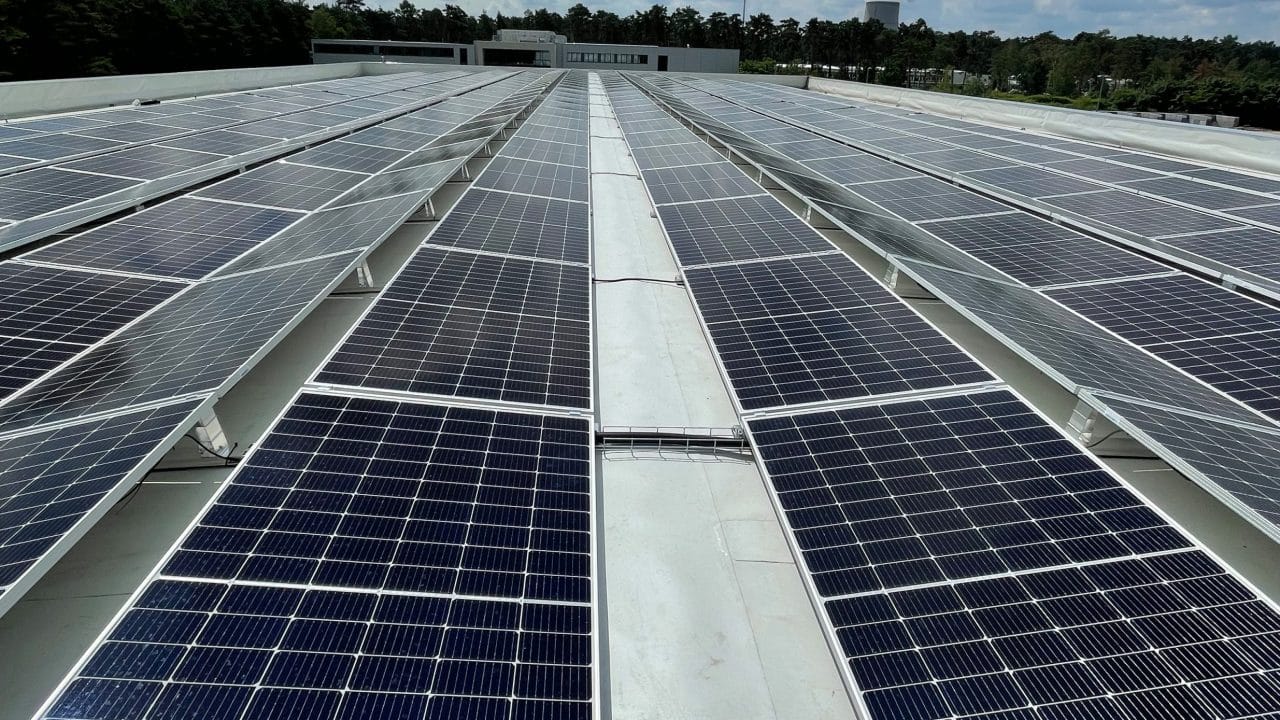 Mainka – Greenflash